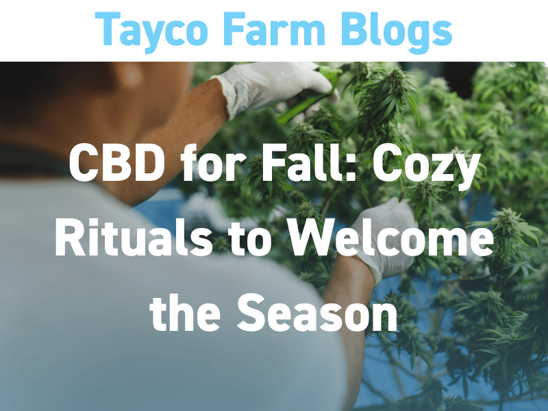 How to Add CBD to Your Fall Wellness Routine – Tayco Farm